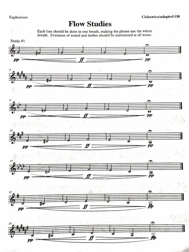 Flow Studies Vincent Cichowicz | PDF