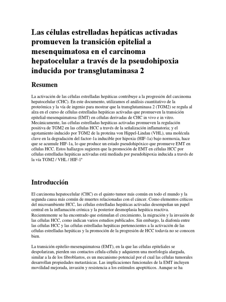 Las Células Estrelladas Hepáticas Activadas Promueven La Transición ...