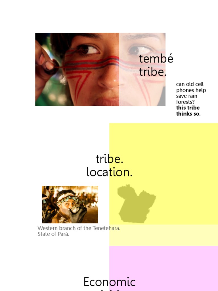 Tembé Tribe's Role in Rainforest Conservation | PDF