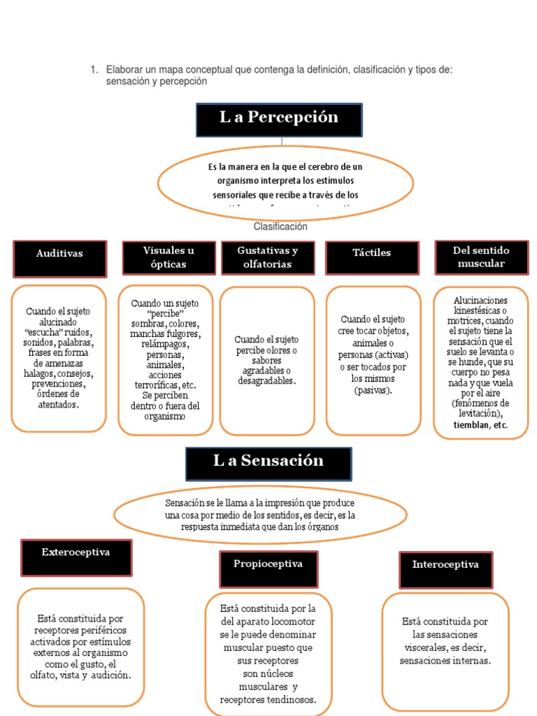 Elaborar Un Mapa Conceptual | PDF | Gusto | Olfato