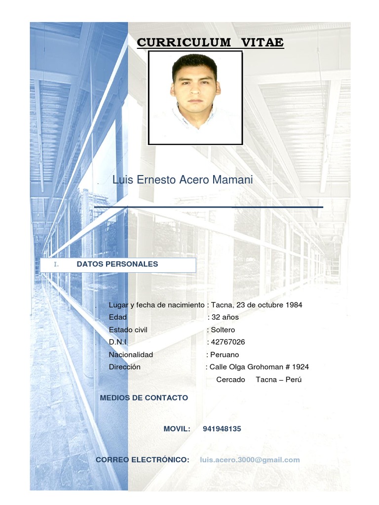 Curriculum Vitae Luis Acero | PDF | Educación avanzada | Escuelas