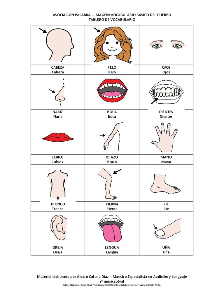 Cuerpo Humano Tablero Vocabulario Basico | PDF