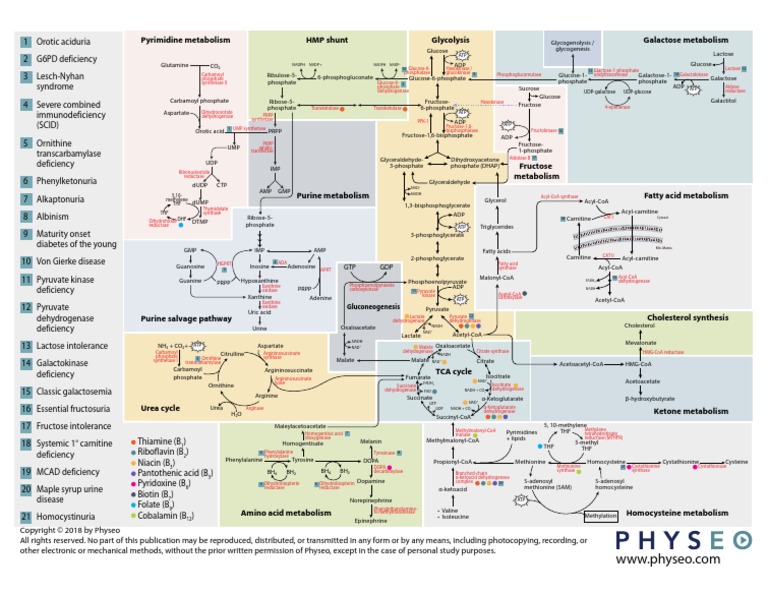 6 Biochemistry Map | Natural Products | Biochemistry