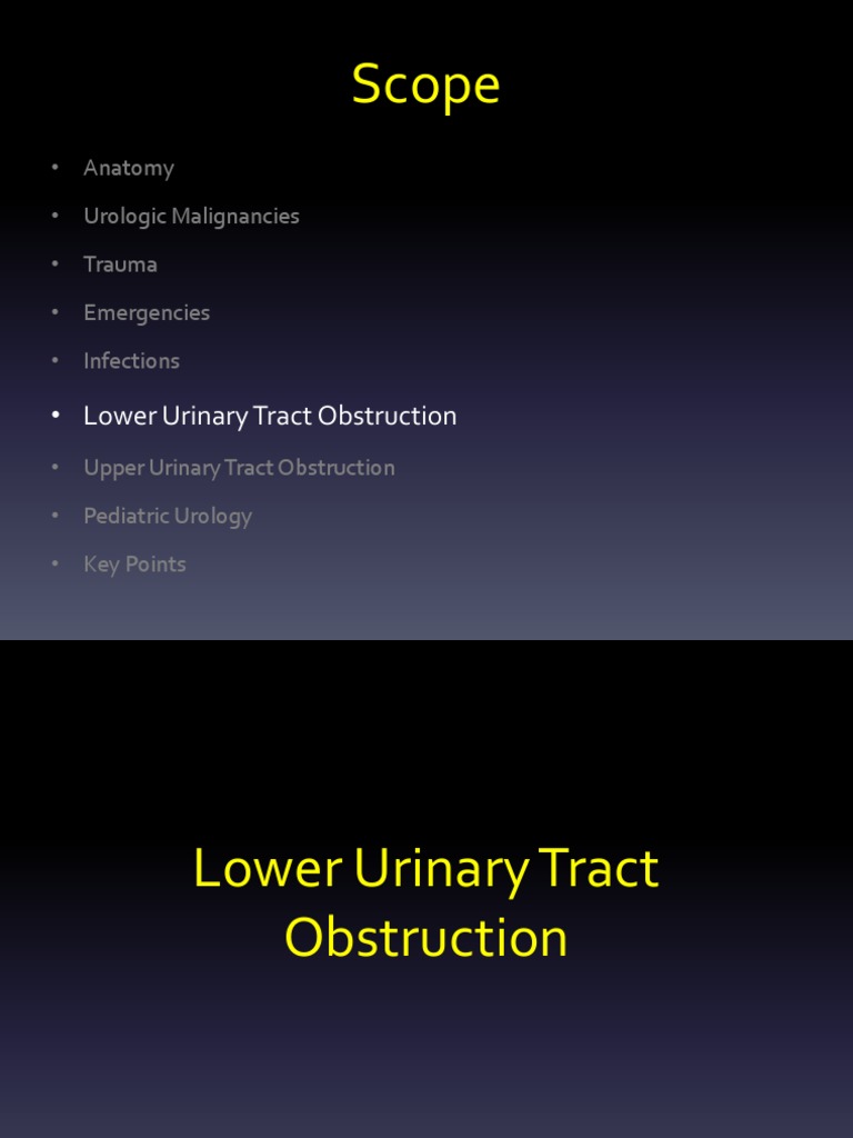 Lower Urinary Tract Obstruction | PDF | Prostate | Urology