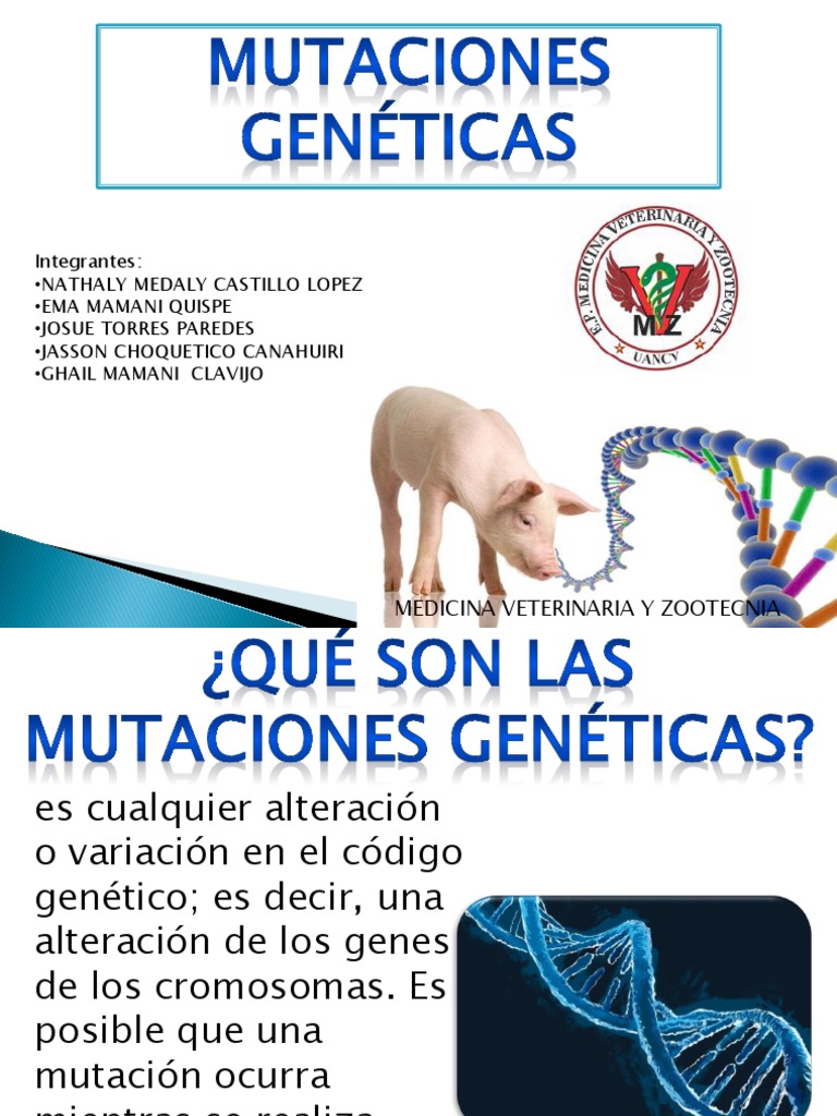 mutaciones geneticas | Mutación | Gen