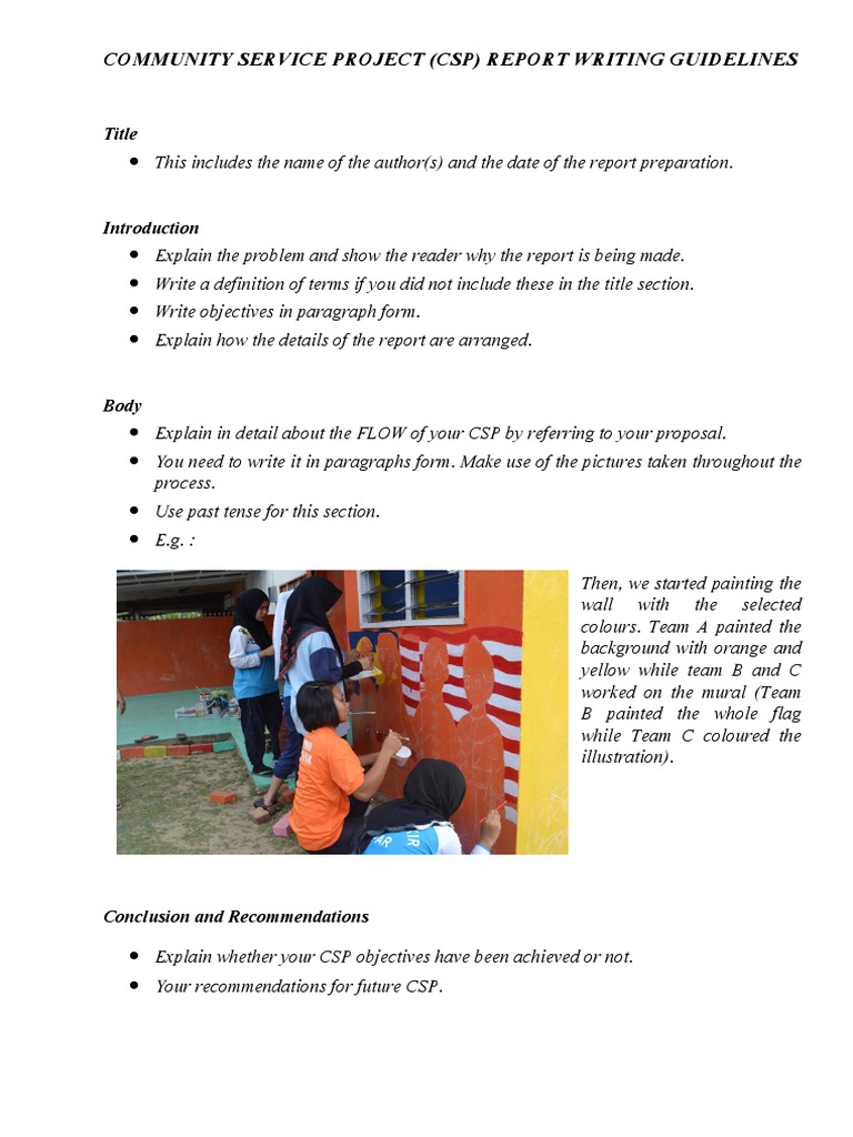 CSP Report Writing Guidelines | PDF