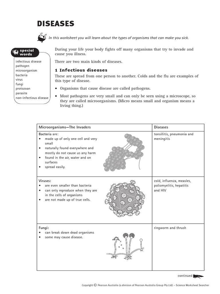 Diseases Worksheet | PDF | Pathogen | Infection