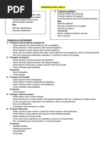 Triangulo de Farabeuf | PDF | Anatomía humana | Cabeza y cuello humanos