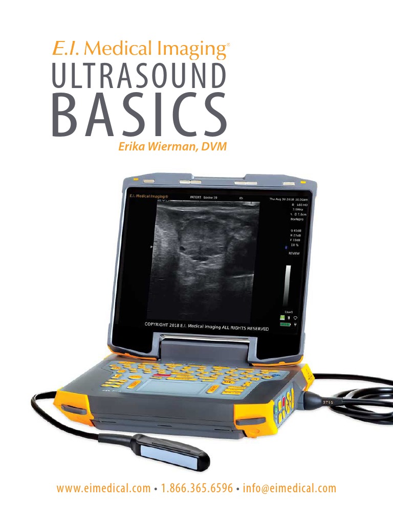 Ultrasound Basics | PDF | Medical Ultrasound | Ultrasound