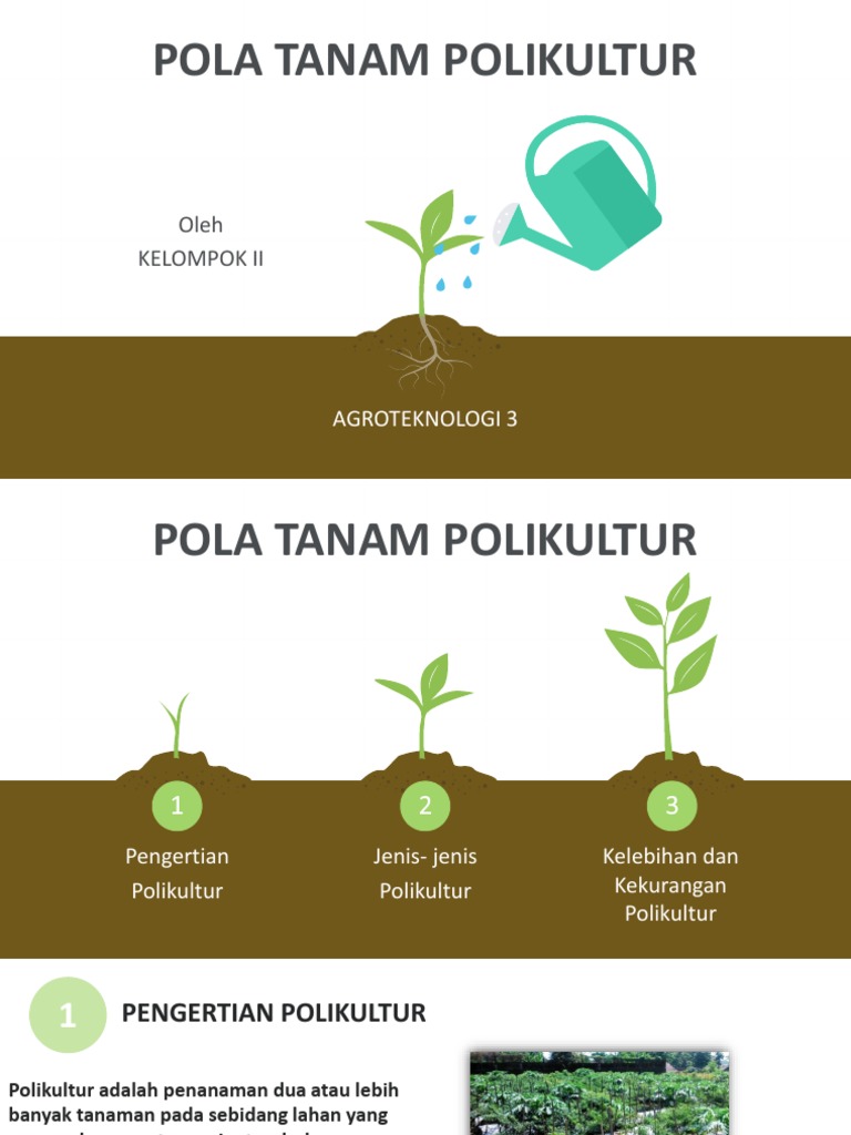 Pola Tanam Polikultur | PDF