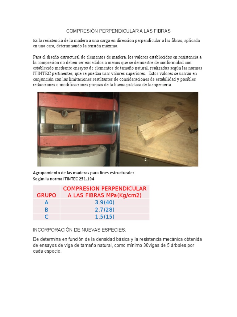Resistencia a la Compresión de Madera | PDF | Resistencia de materiales ...