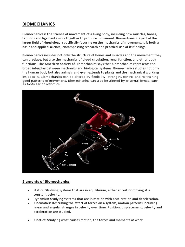 Elements of Biomechanics | PDF | Biomechanics | Running