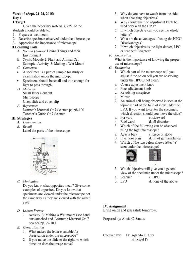 Microscope Wet Mount Observation Guide | PDF | Fungus | Microscope