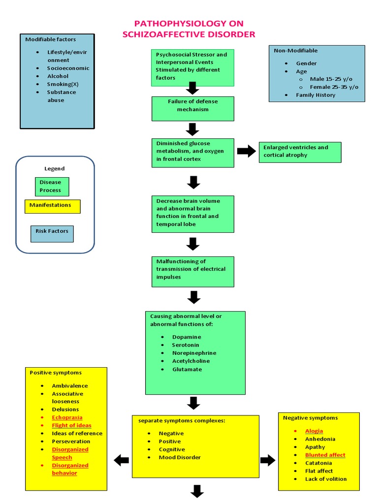 Pathophysiology On Schizoaffective Disorder: Echopraxia | PDF | Mood ...