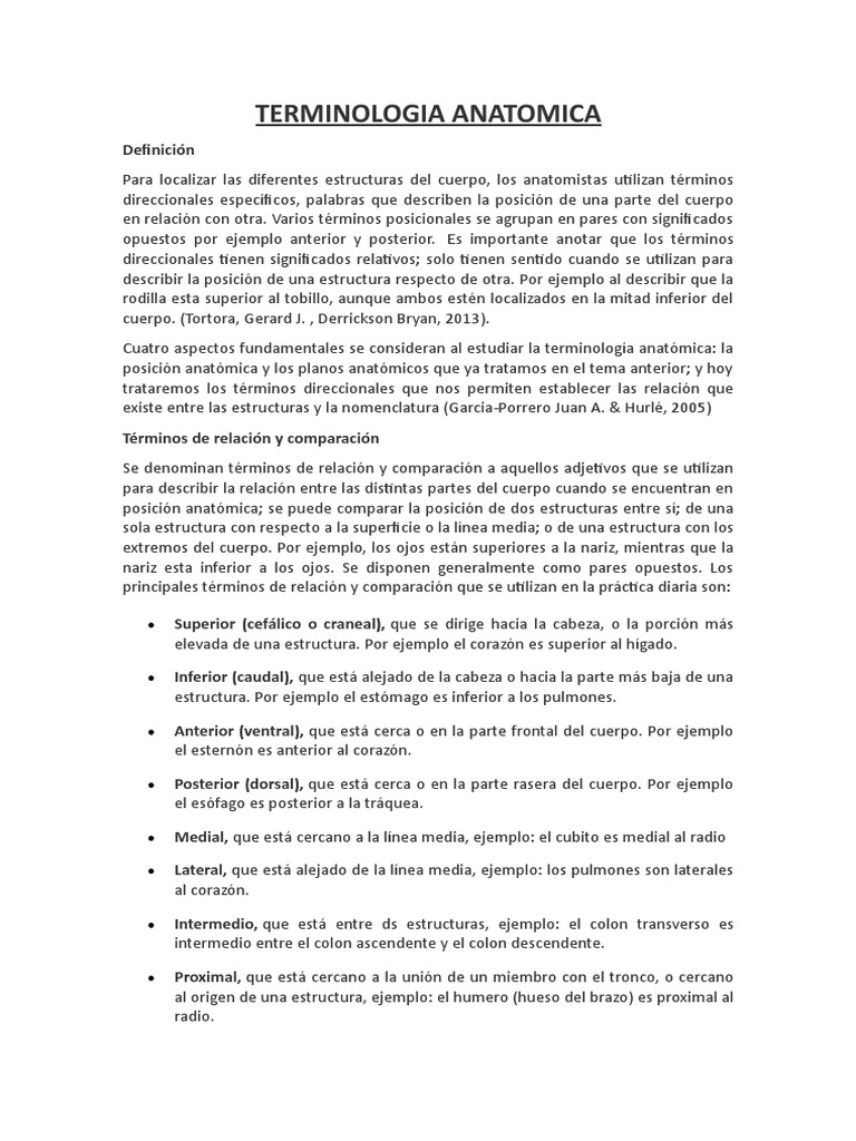 Una guía completa sobre la terminología anatómica fundamental | PDF ...