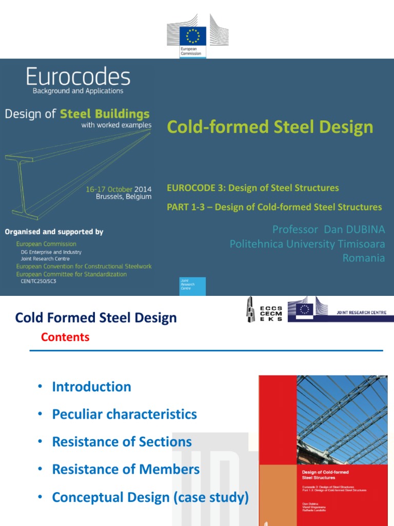 08 Eurocodes Steel Workshop DUBINA | PDF | Buckling | Bending
