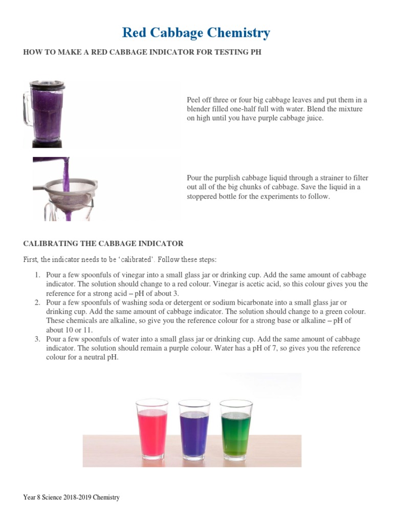 Red Cabbage Indicator | PDF | Ph | Physical Chemistry