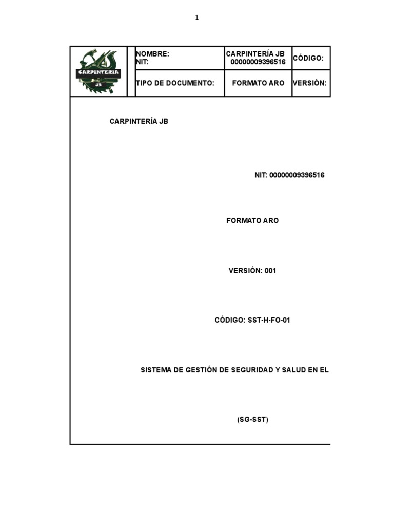 Formato Aro | PDF | Business