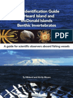 Freshwater Zooplankton Identification Guide | PDF | Anatomical Terms Of ...