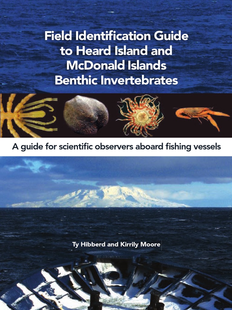 HIMI Benthic Invertebrate Field Guide | PDF | Taxonomy (Biology ...