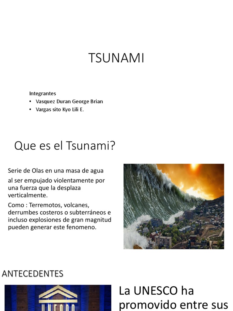 Tsunami | PDF