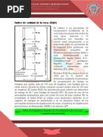 ASTM D6032 08 Traducción | PDF | Naturaleza | Enseñanza de matemática