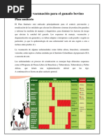Ciclo de Vida de La Vaca | PDF | Vacas | Leche