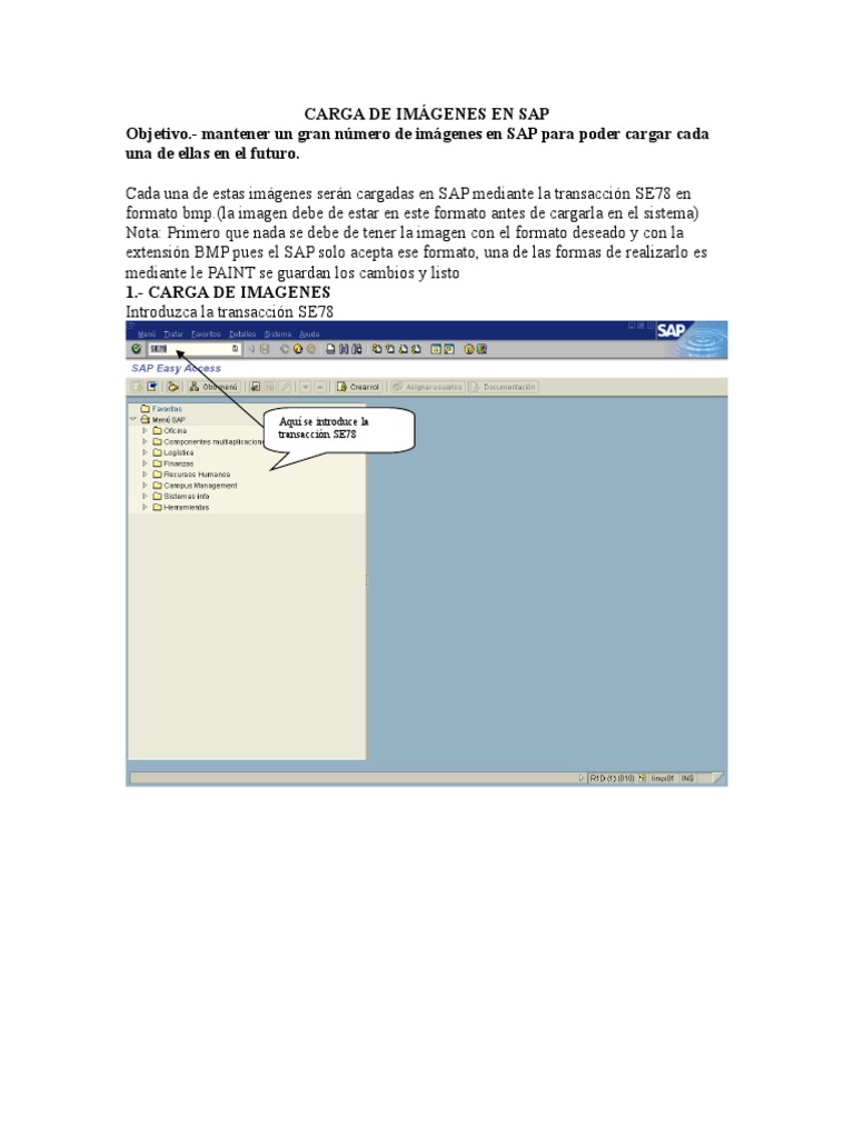 Carga de Imagenes en Sap Se78 | PDF | Informática | Software