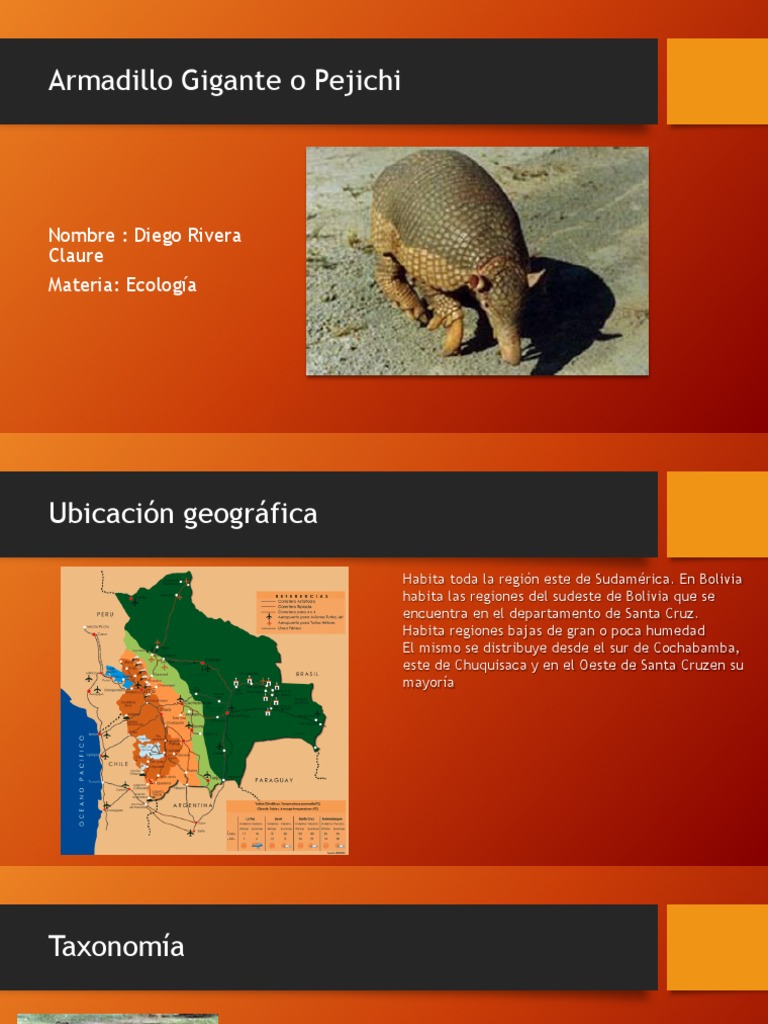 Armadillo Gigante o Pejichi | PDF | Organismos | Naturaleza