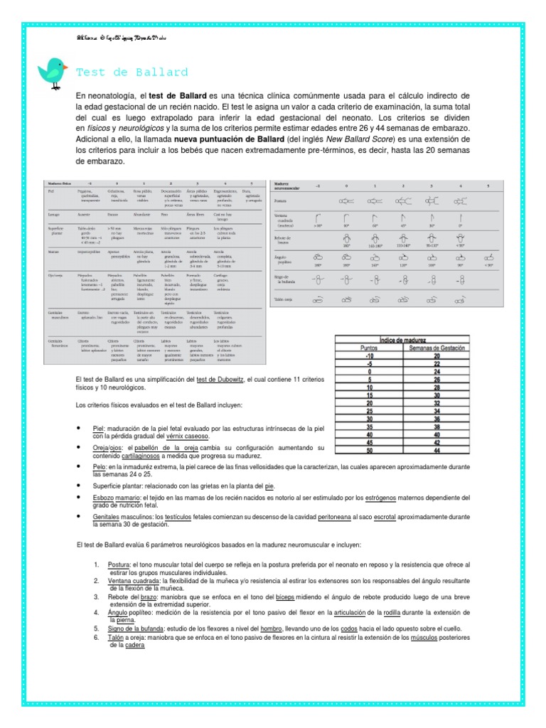 Test de Ballard | PDF | Especialidades Medicas | Bienestar