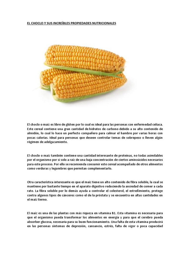 Propiedades Nutricionales del Choclo | PDF | Maíz | Cereales