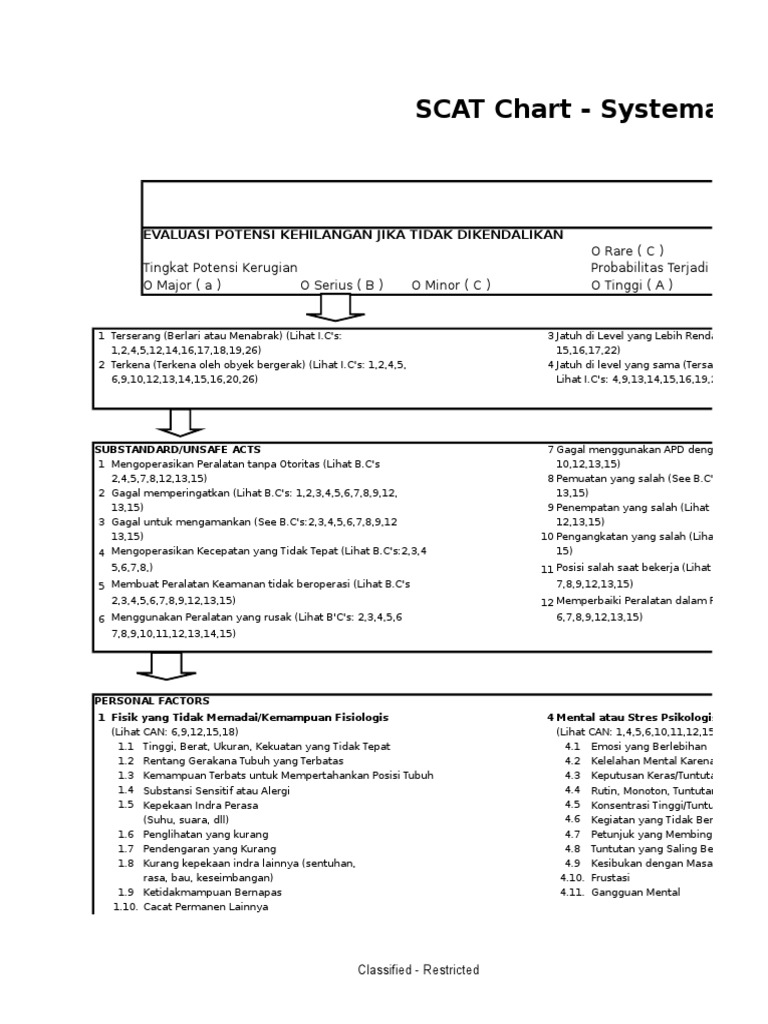 SCAT Accident Analisis | PDF