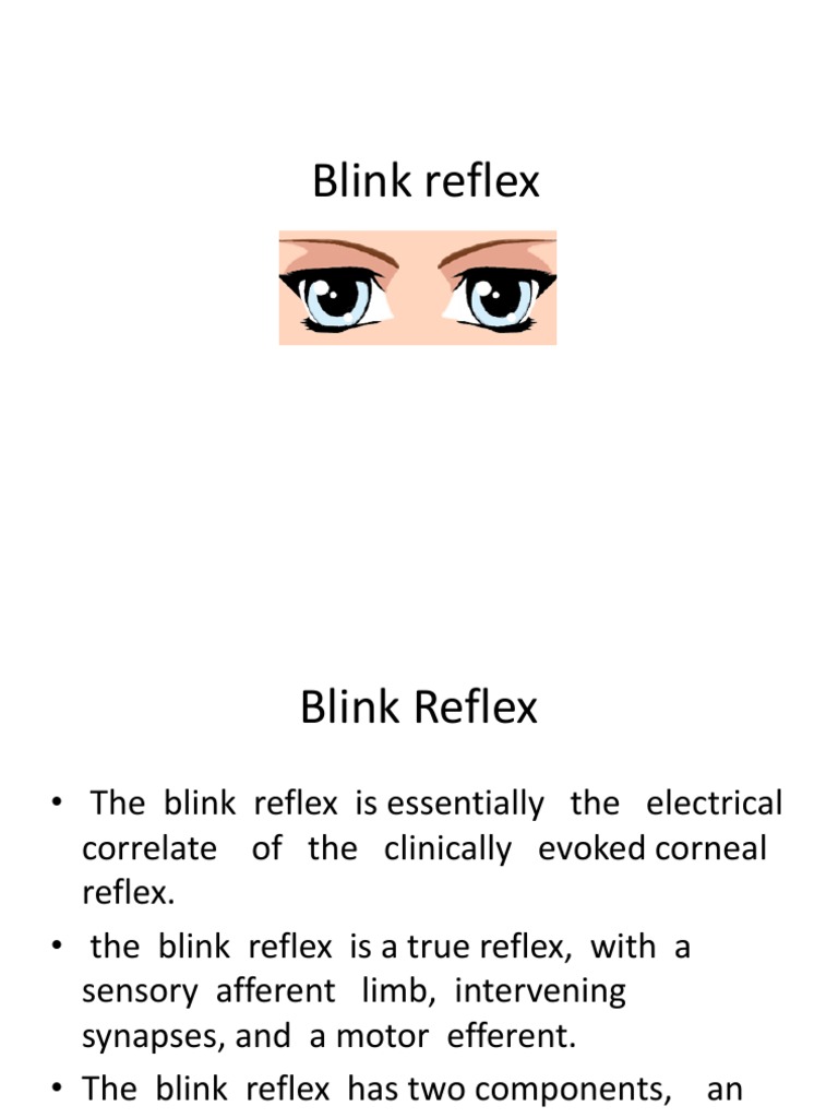 Understanding the Blink Reflex | PDF