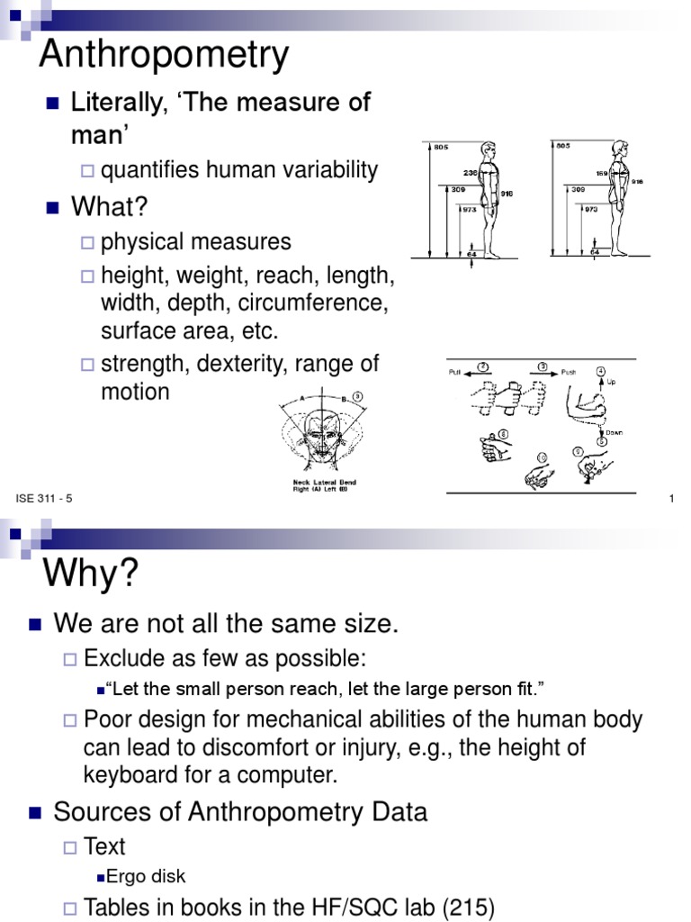 Anthropometry: Literally, The Measure of Man' What? | PDF ...