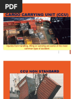 NSL Intl Safe Cargo Handling Handbook 2020 | PDF