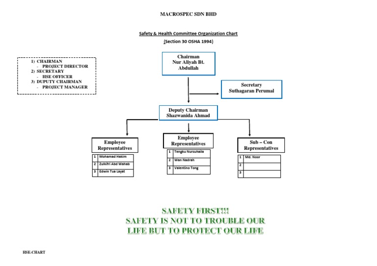 HSE Committee Chart | PDF