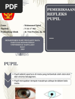 Ukuran Pupil Mata Normal dan Kelainan | PDF