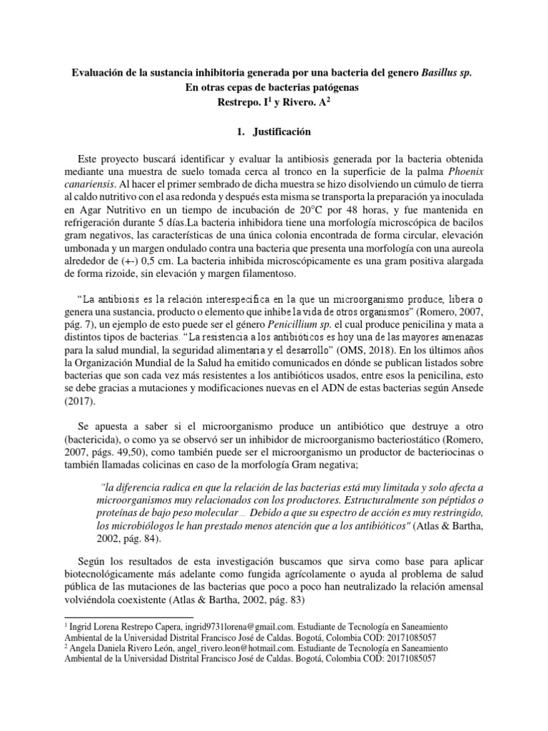 Evaluacion De La Antibiosis Pdf Las Bacterias Penicilina