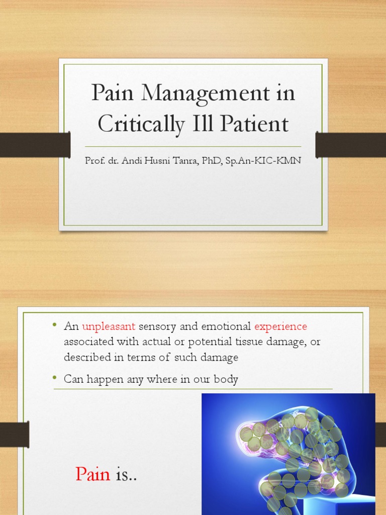 Pain Management in Critically Ill Patient: Prof. Dr. Andi Husni Tanra ...
