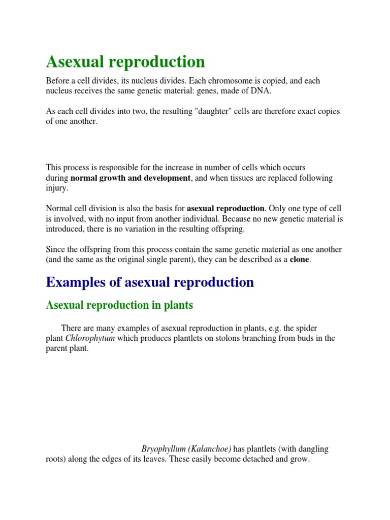 Asexual Reproduction | Download Free PDF | Sex | Sexual Reproduction