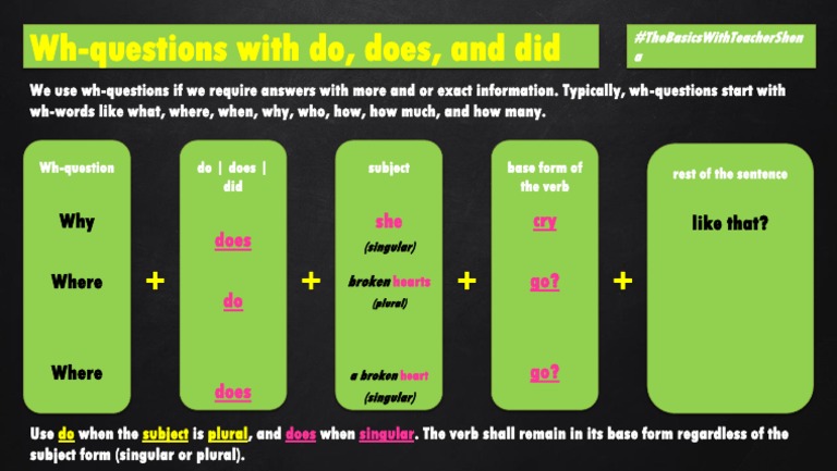 Wh-Questions With Do, Does, and Did | PDF