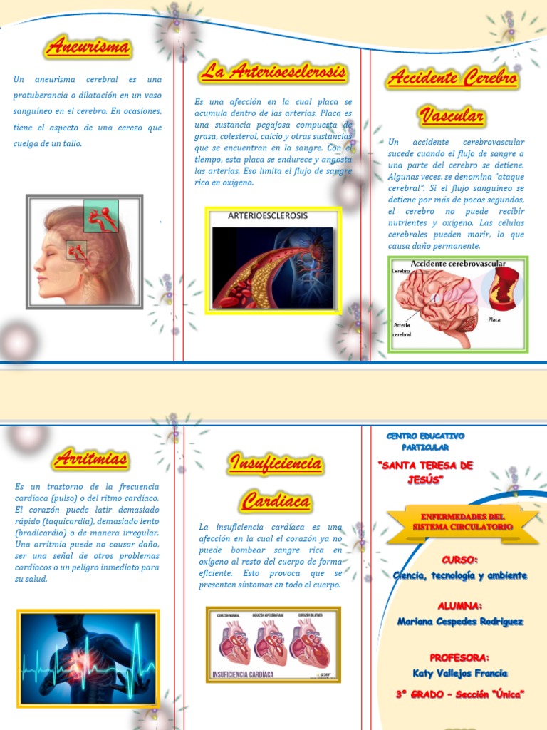 TRIPTICO Enfermedades Del Sistema Circulatorio | PDF | Corazón | Sangre TRIPTICO Enfermedades Del Sistema Circulatorio | PDF | Corazón | Sangre