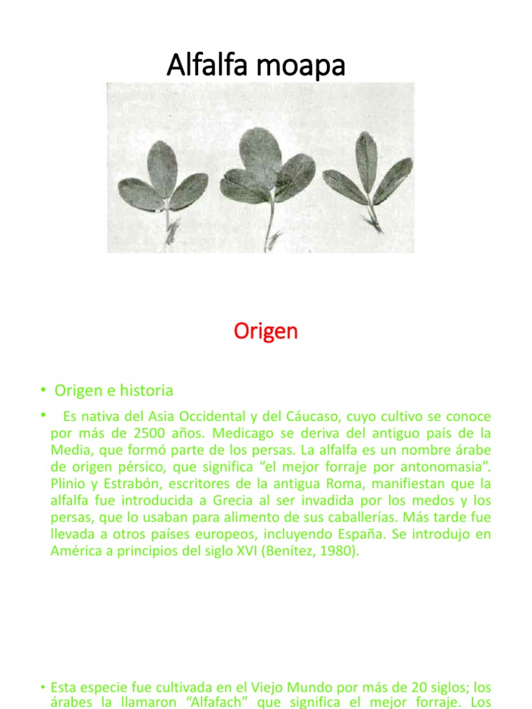 Alfalfa Moapa | PDF | Alfalfa | Riego