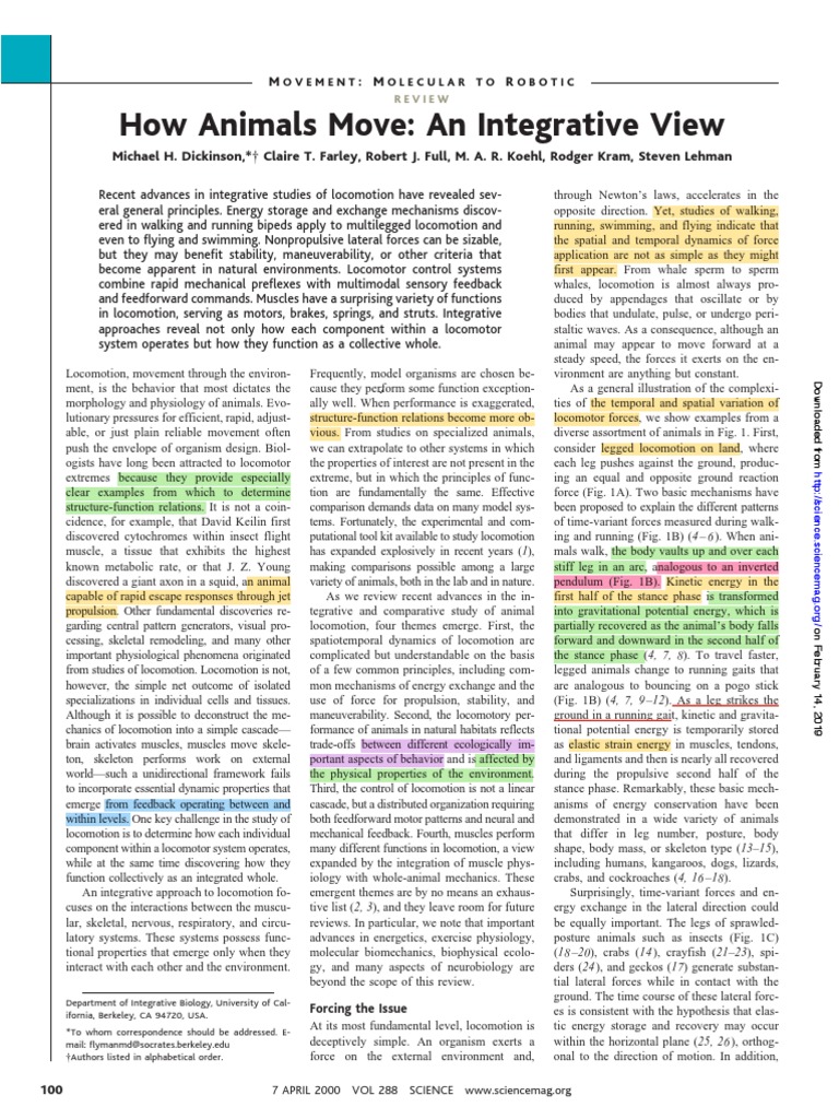 Los Movimientos Animales | PDF | Animal Locomotion | Lift (Force)