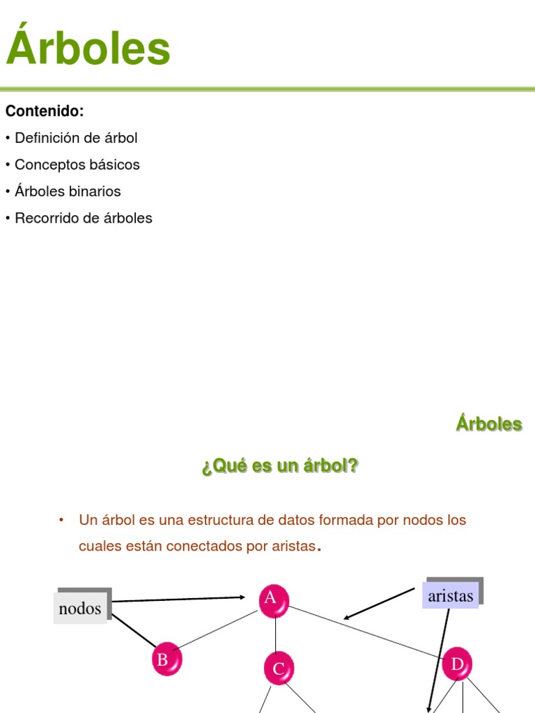Arboles | PDF | Matemáticas Aplicadas | Informática teórica