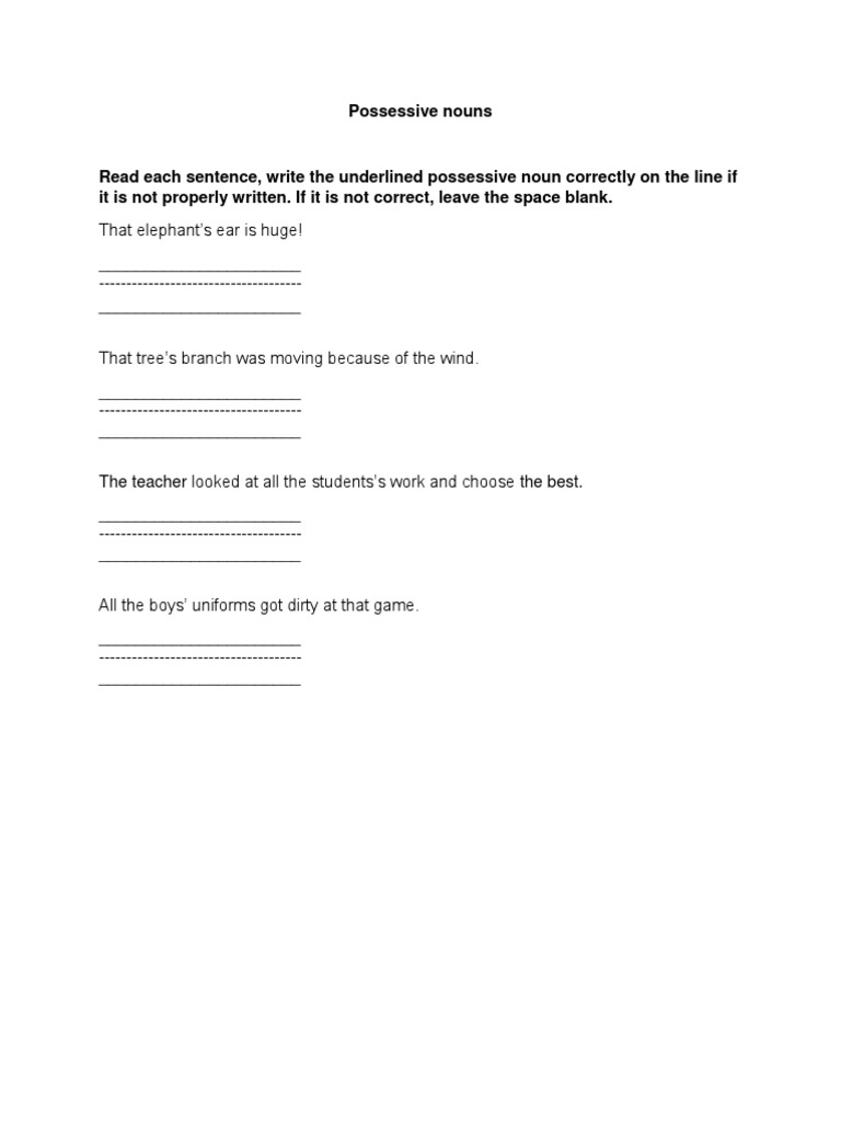 Possessive Nouns Practice | PDF