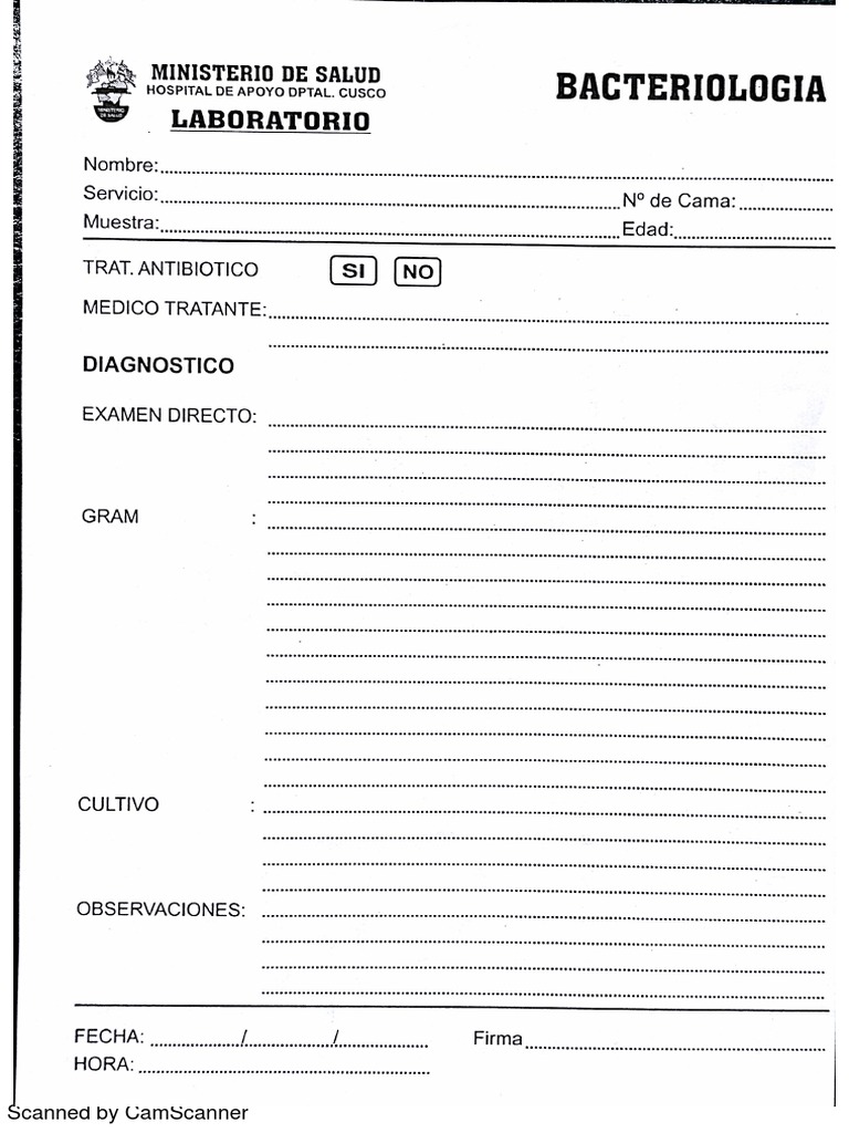 Formatos Laboratorio | PDF