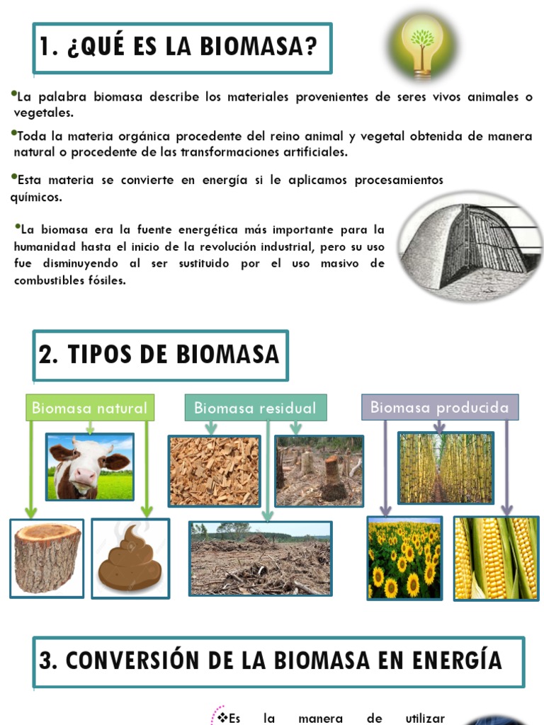 Centrales de Biomasa | Descargar gratis PDF | Biomasa | Combustibles