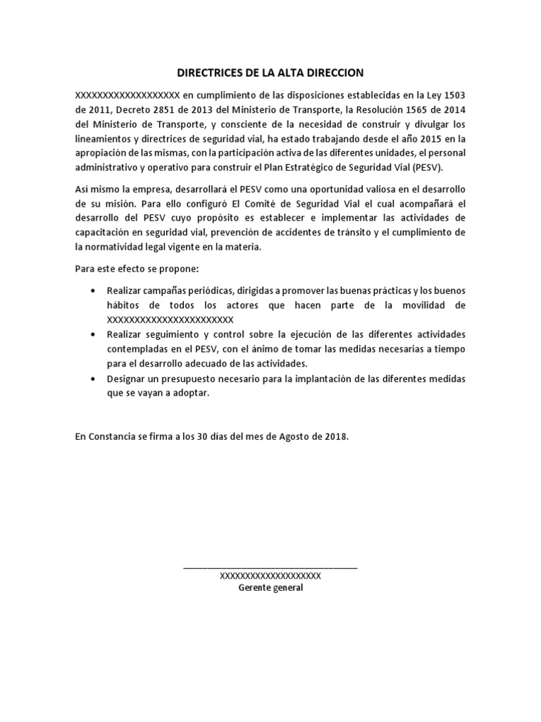 Ejemplo Directrices de La Alta Direccion | PDF
