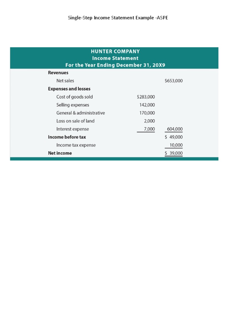Financial Statement Examples | PDF